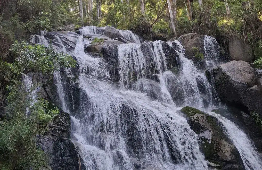 Toorongo Falls - Lets Go Victoria